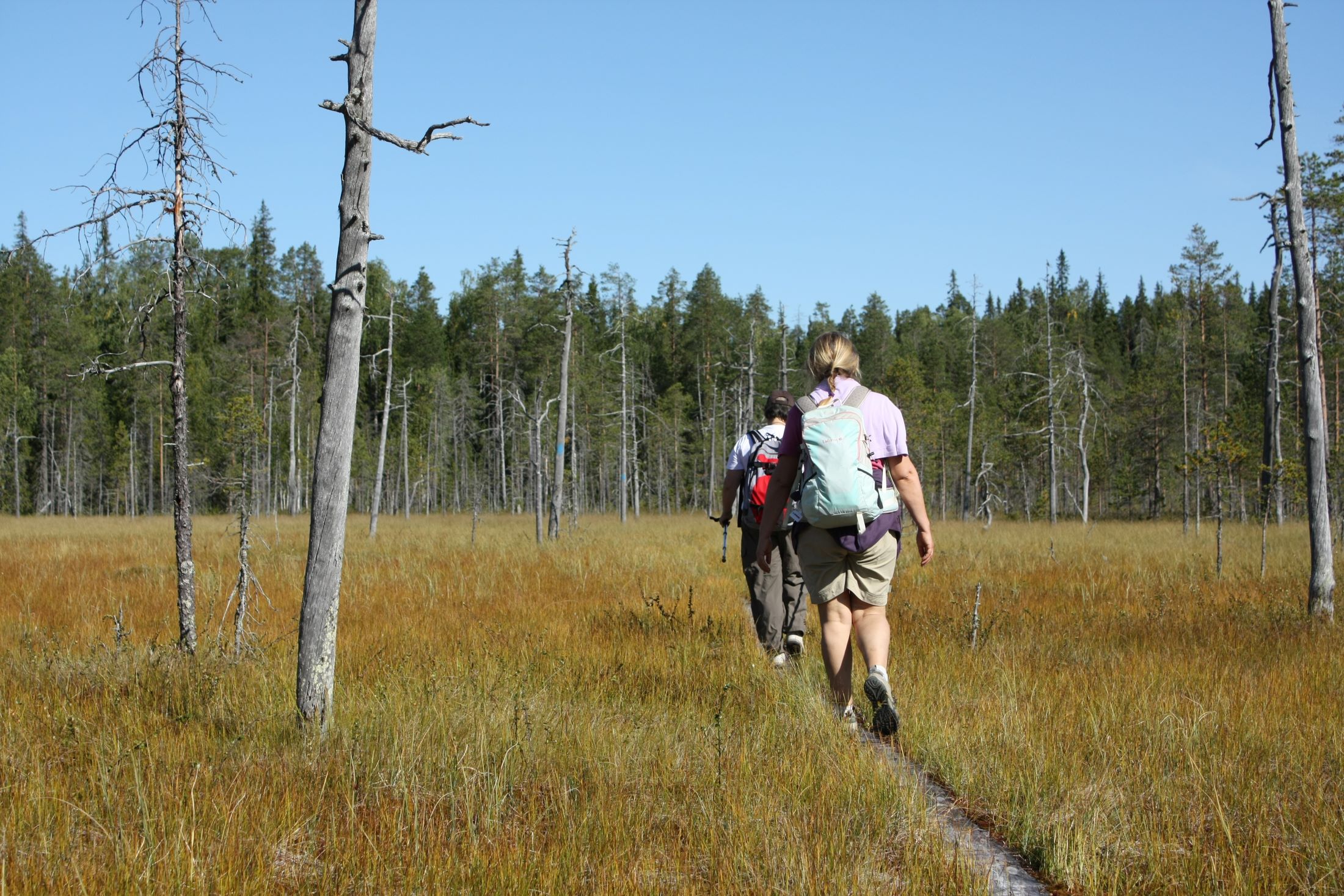 Finnish Border Hiking Tour - Upitrek, Finland