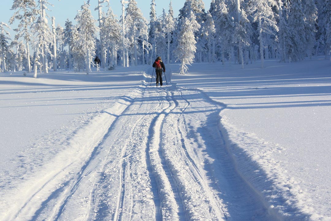 Guided cross-country ski tour - Finland's eastern wilderness